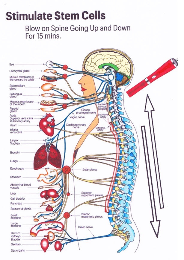 Terahertz Quantum Wand – Crystal Box Brisbane